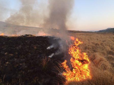 Cornwall Fire & Rescue Service News